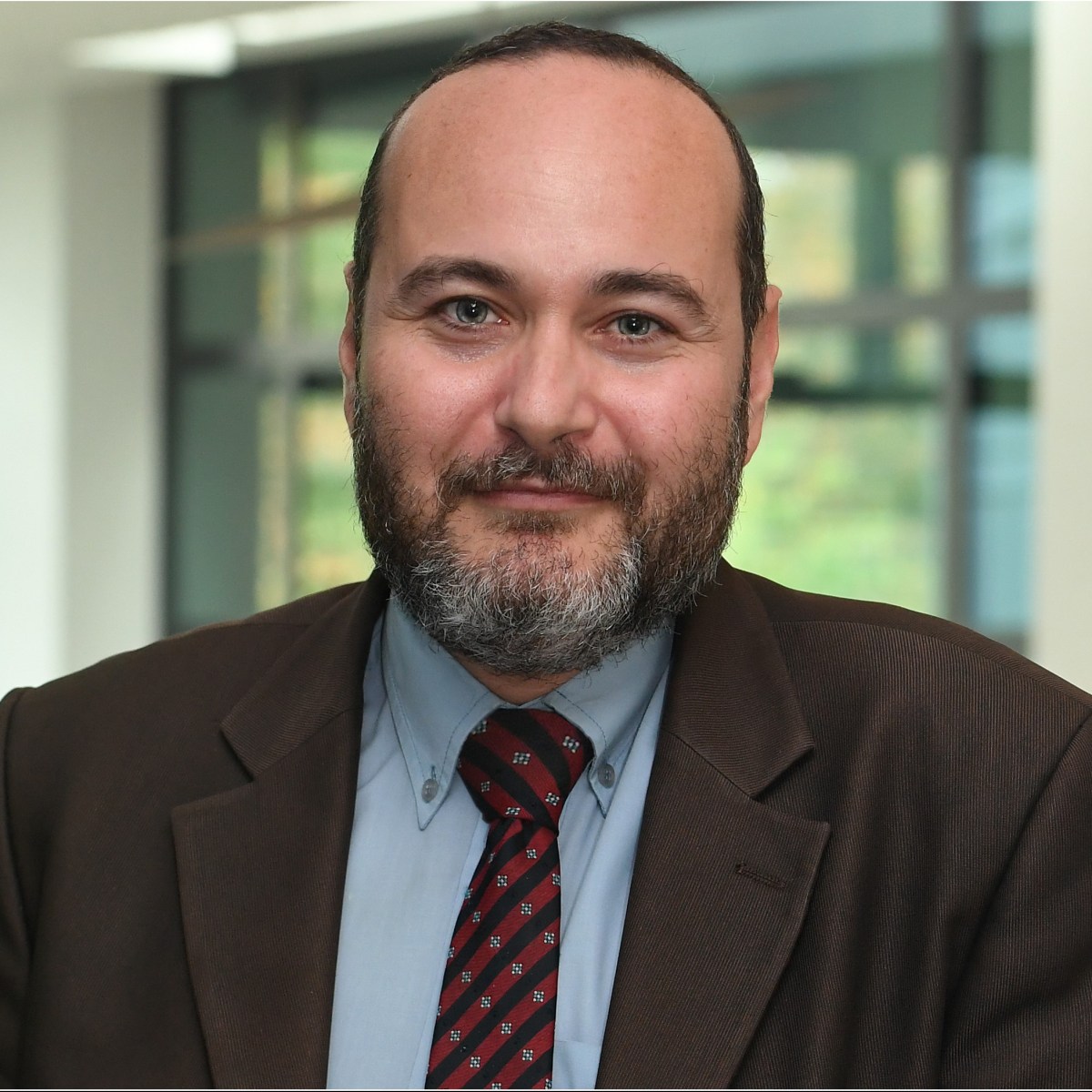 Solon Solomon: The Northern Ireland Protocol Bill: A comparative ...