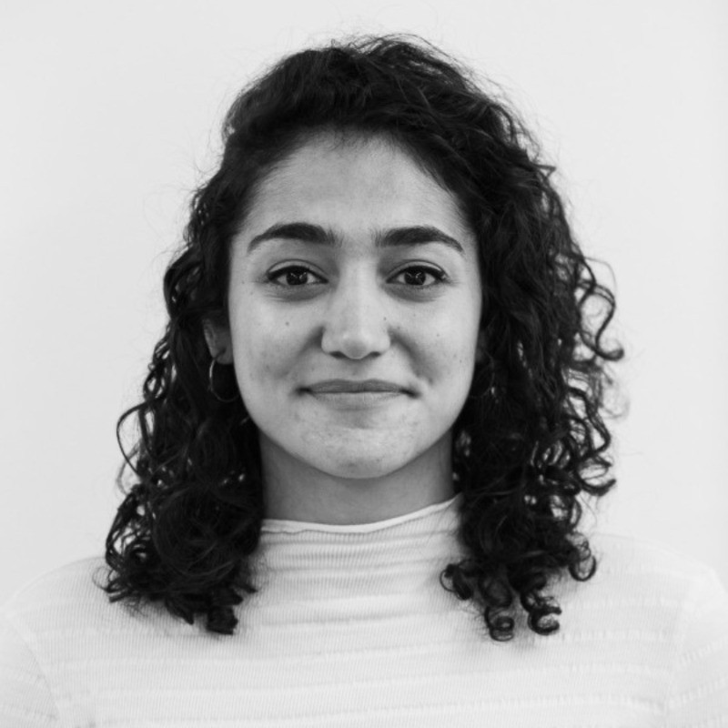 Nour Haidar: Home Secretary vs Palestine Action: The Constitutional ...